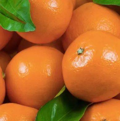 Citrus industry set to see rise in orange & mandarin production_The ...