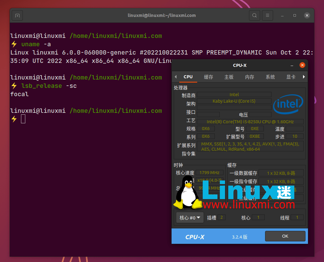 分享 Linux 中功能强大的 CPU-Z 替代品_信息_cpu-x_守护