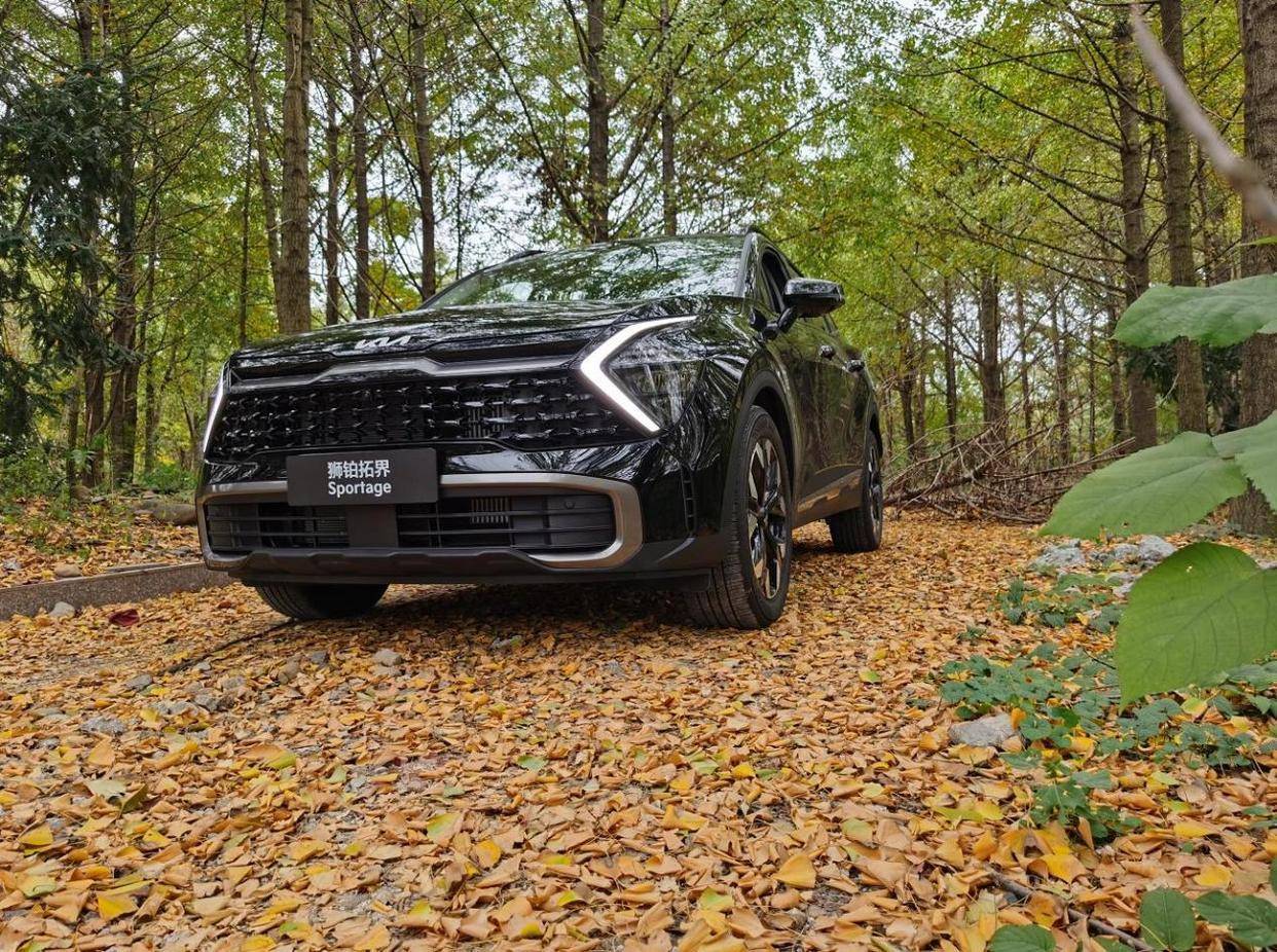 起亚狮铂拓界，滚流燃烧2.0T+坦迪斯8AT，扭矩比同级SUV多100Nm_搜狐汽车_搜狐网