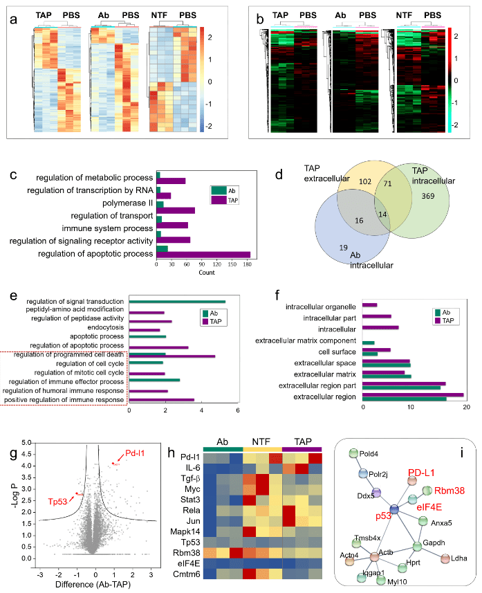 北理工在微流控芯片高内涵分子筛选实现多肽定向进化方面获进展_组装_性能优良_进行