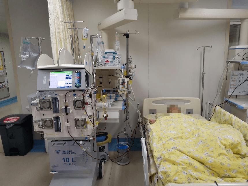 【高水平医院建设】PICU应用血液净化治疗成功救治重度肝损害患儿_儿童_重症_救治