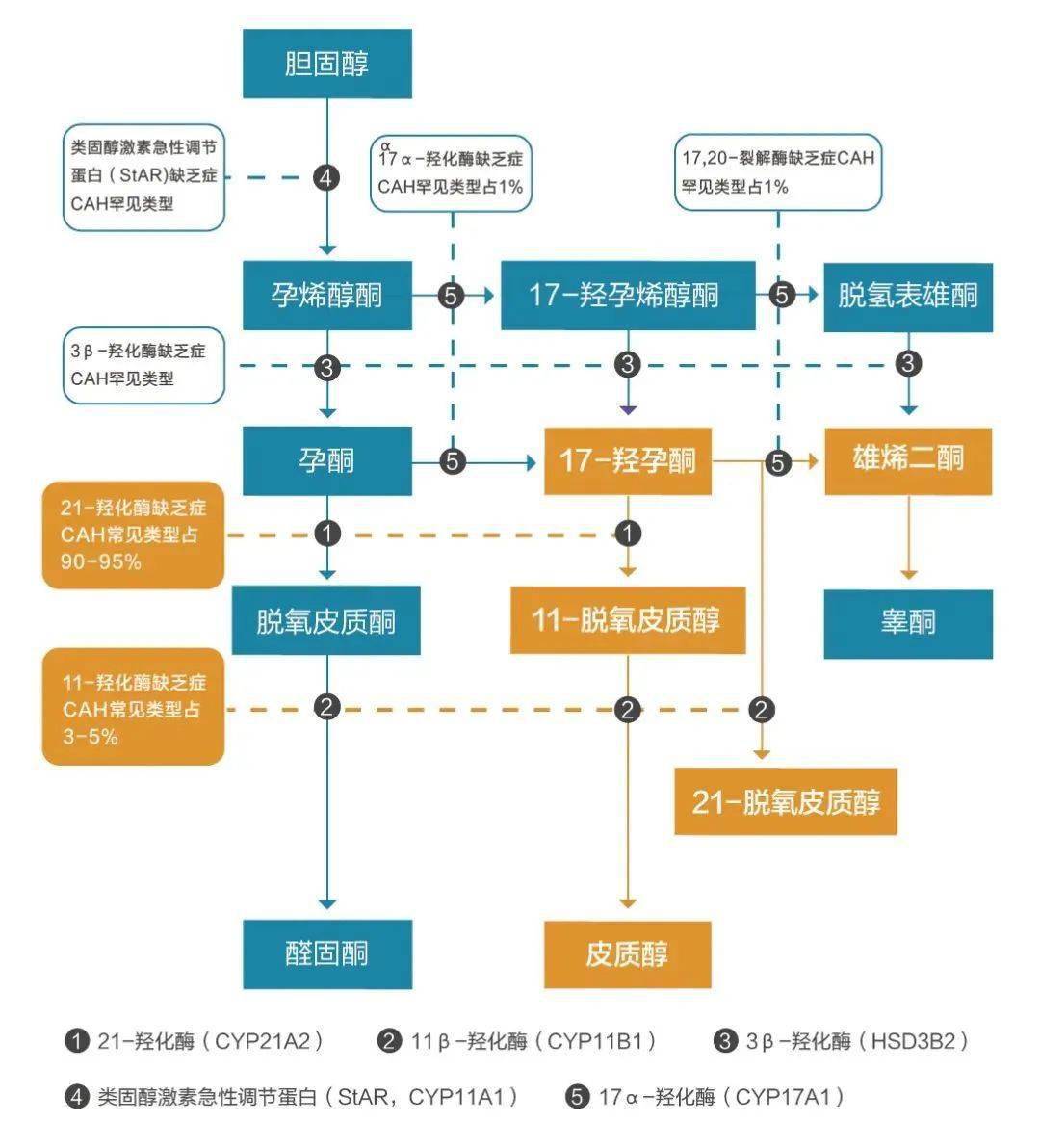 新品发布 | LC-MS/MS助力新生儿先天性肾上腺皮质增生(CAH)筛查_技术_增生症_预测值