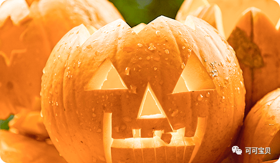 今天不是万圣节，但是..._Pumpkin_Who_Day