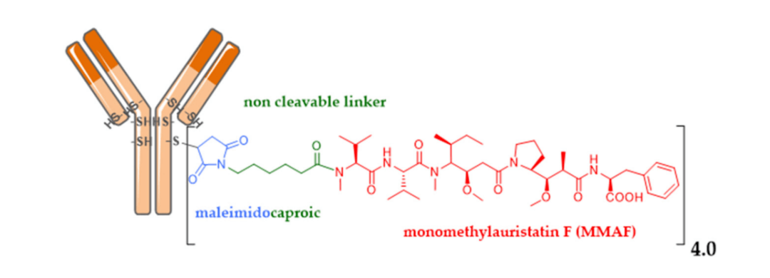 BCMA ADC III 期临床失败，如何重新考量 ADC 在血液瘤中的地位？_马度_PomDex_Blenrep