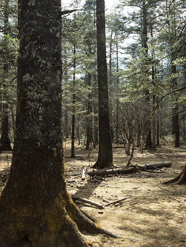 Lafuma | 羽绒马甲，初冬自在穿搭_版权_先天下_品牌
