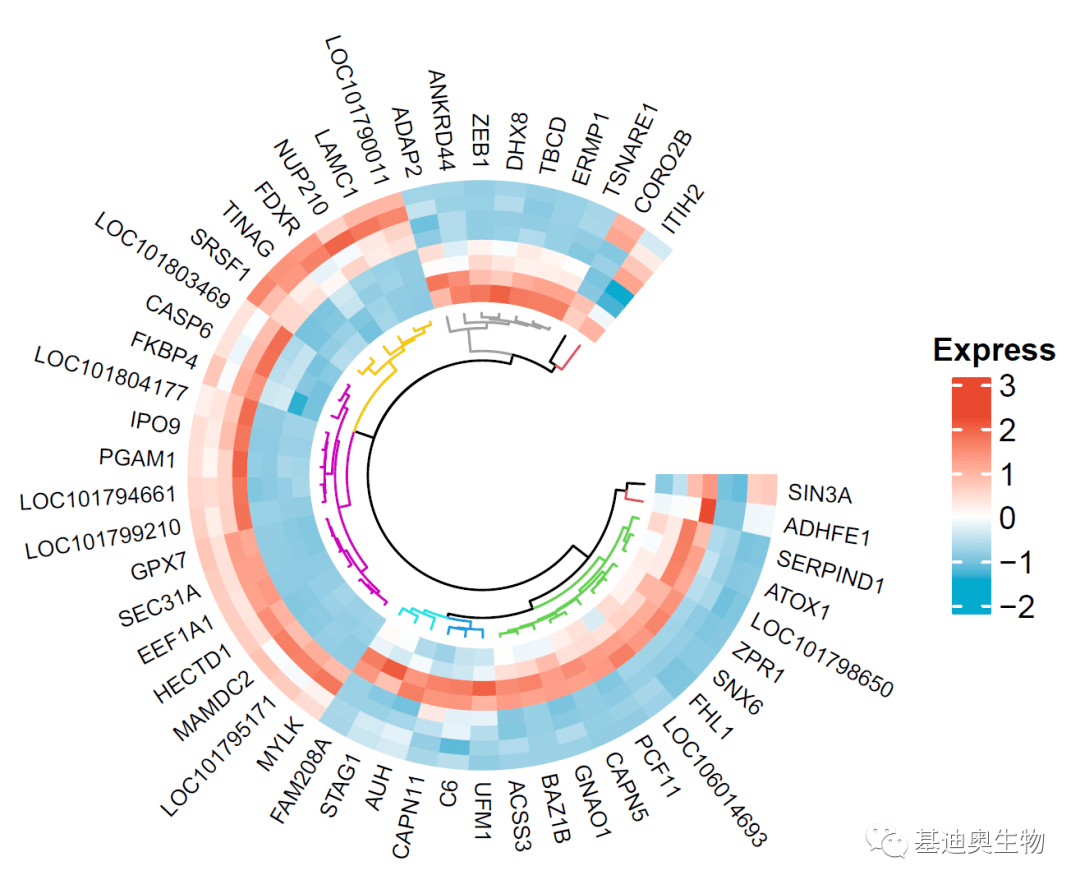 继续卷！给你的环形热图指定基因标签！_mycol
