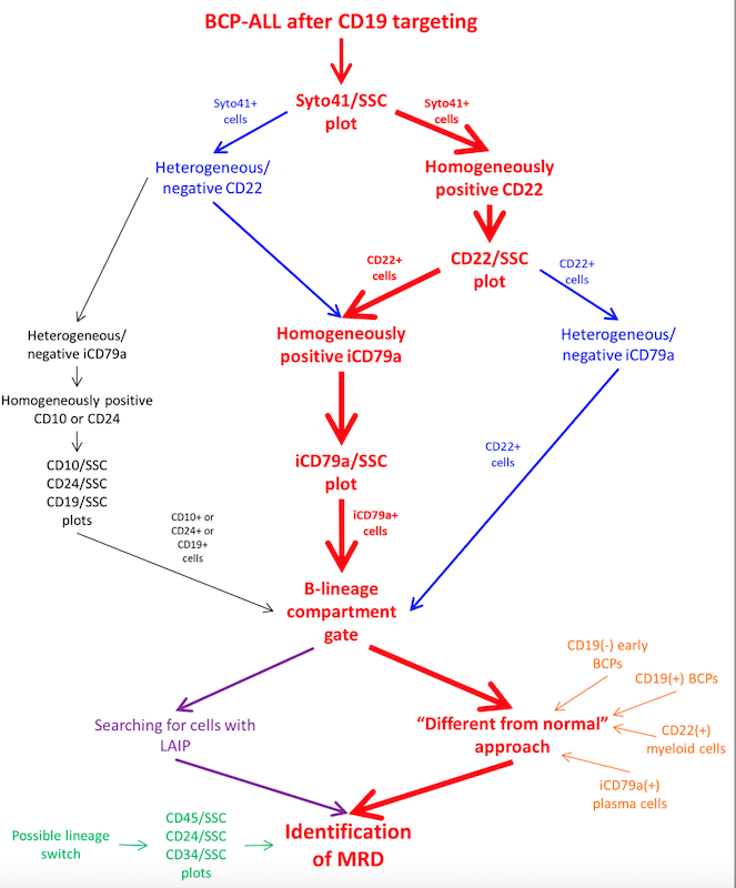 CD19 CAR-T治疗后，B-ALL患者的MRD监测11色方案及其设门逻辑解析_细胞_分析_应用