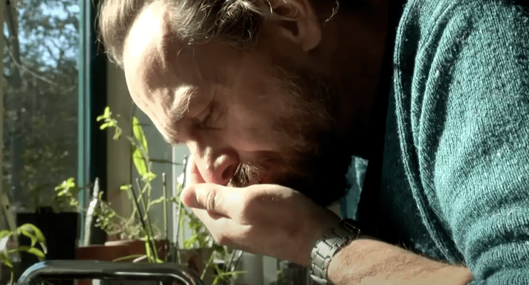 60岁“男妈妈”公开怀孕日常刷爆全网：救命，想做他的孩子…_Alwyn_Albert_小鸭