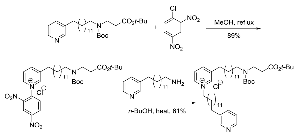 Zincke反应_Review_Ann_Org