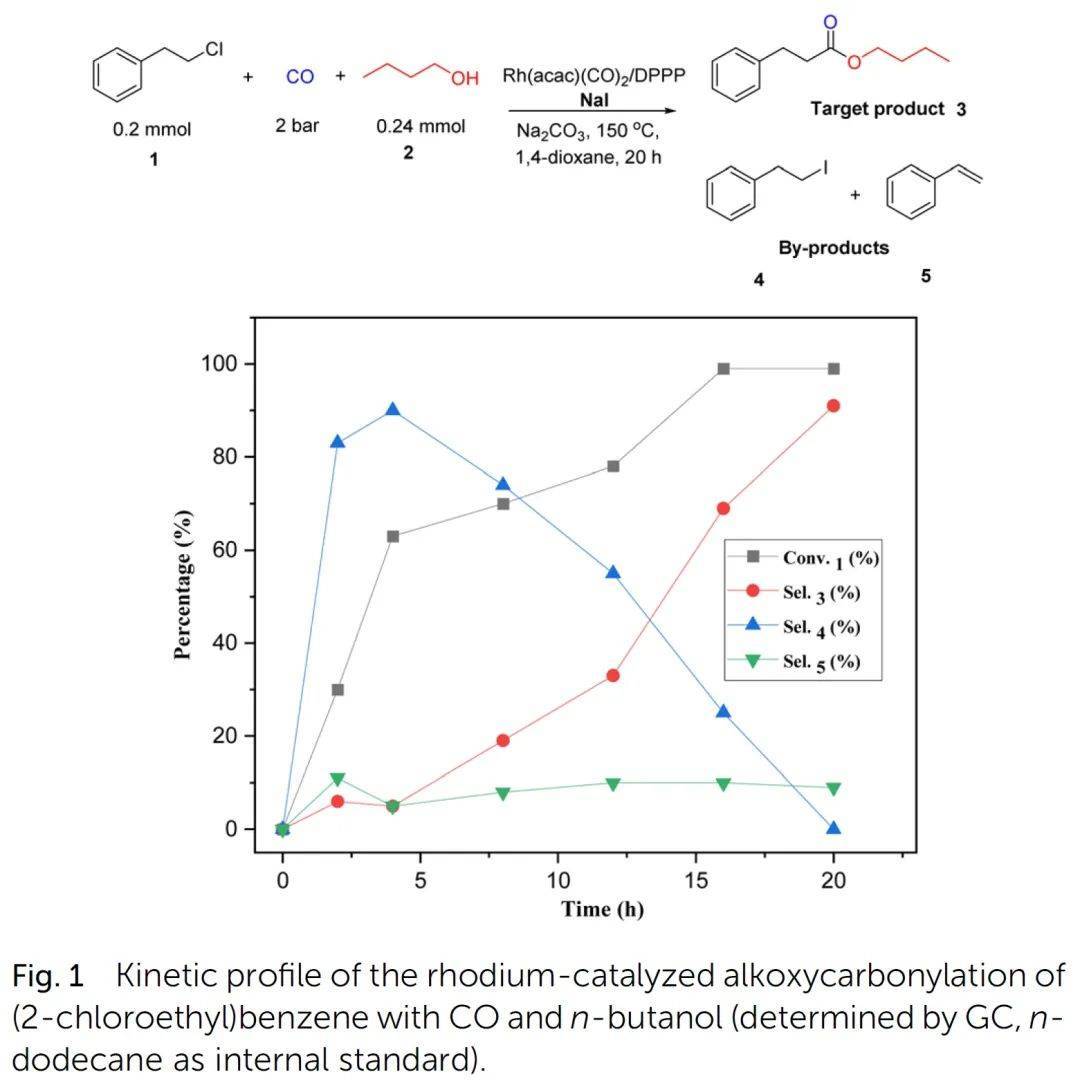 Matthias Beller课题组：铑催化非活化烷基氯化物的烷氧羰基化反应_Scheme_Sci_体系