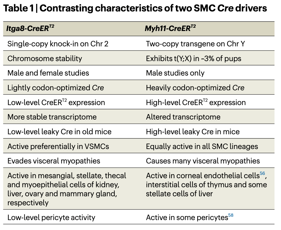 挖掘血管疾病机理！全新血管平滑肌特异性Itga8-CreERT2小鼠助力研究_Myh_基因_Miano