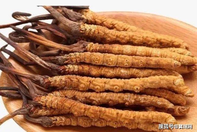 虫草素的药理作用_细胞因子_合成_治疗