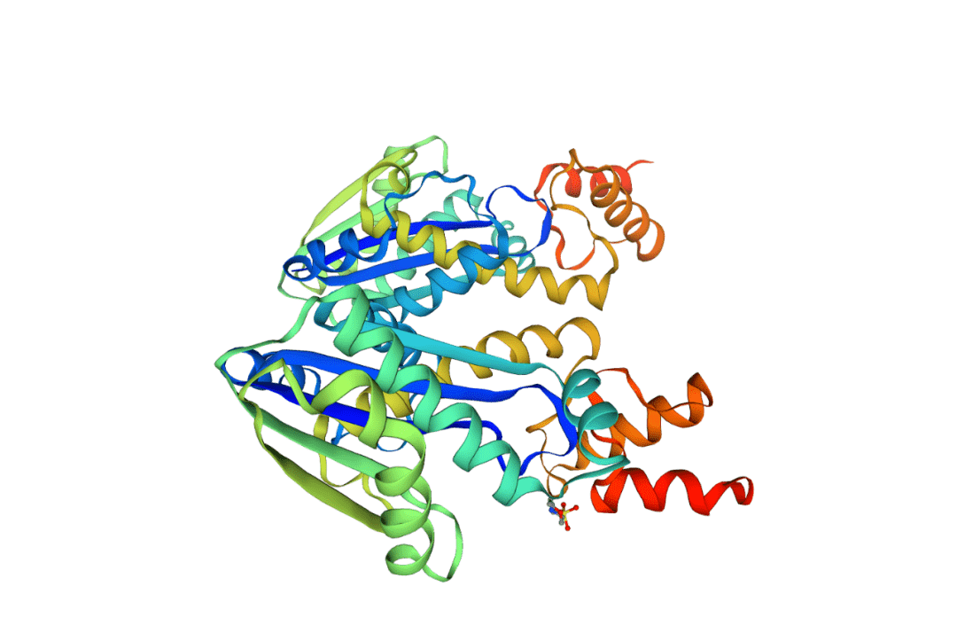 思路 | RNase HII——分子快检LAMP法的葵花点穴手_进行_检测_反应