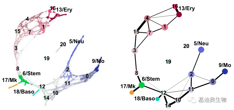 PAGA原理解析，一款用于推测细胞亚群之间的潜在联系的拟时分析软件_数据_进行_步骤