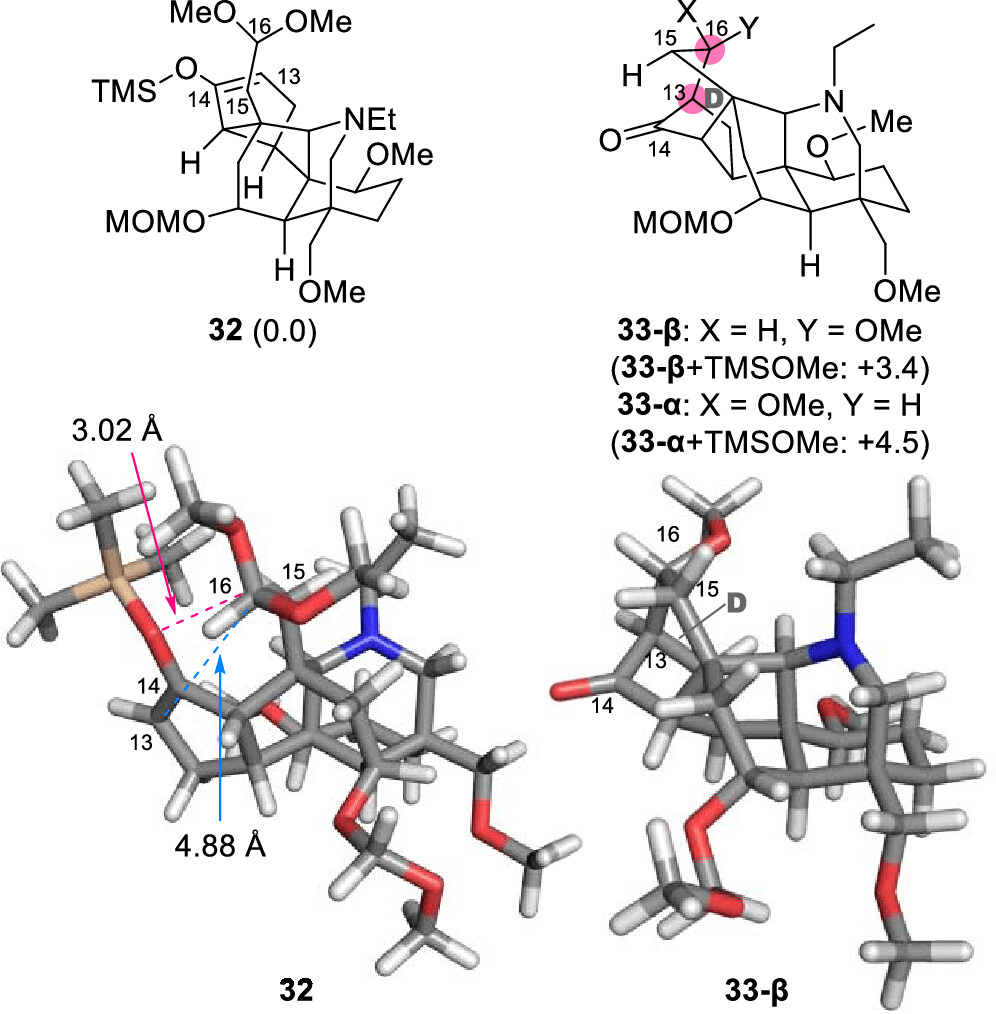 JACS：二萜生物碱Puberuline C的首次全合成_反应_分子_化合物