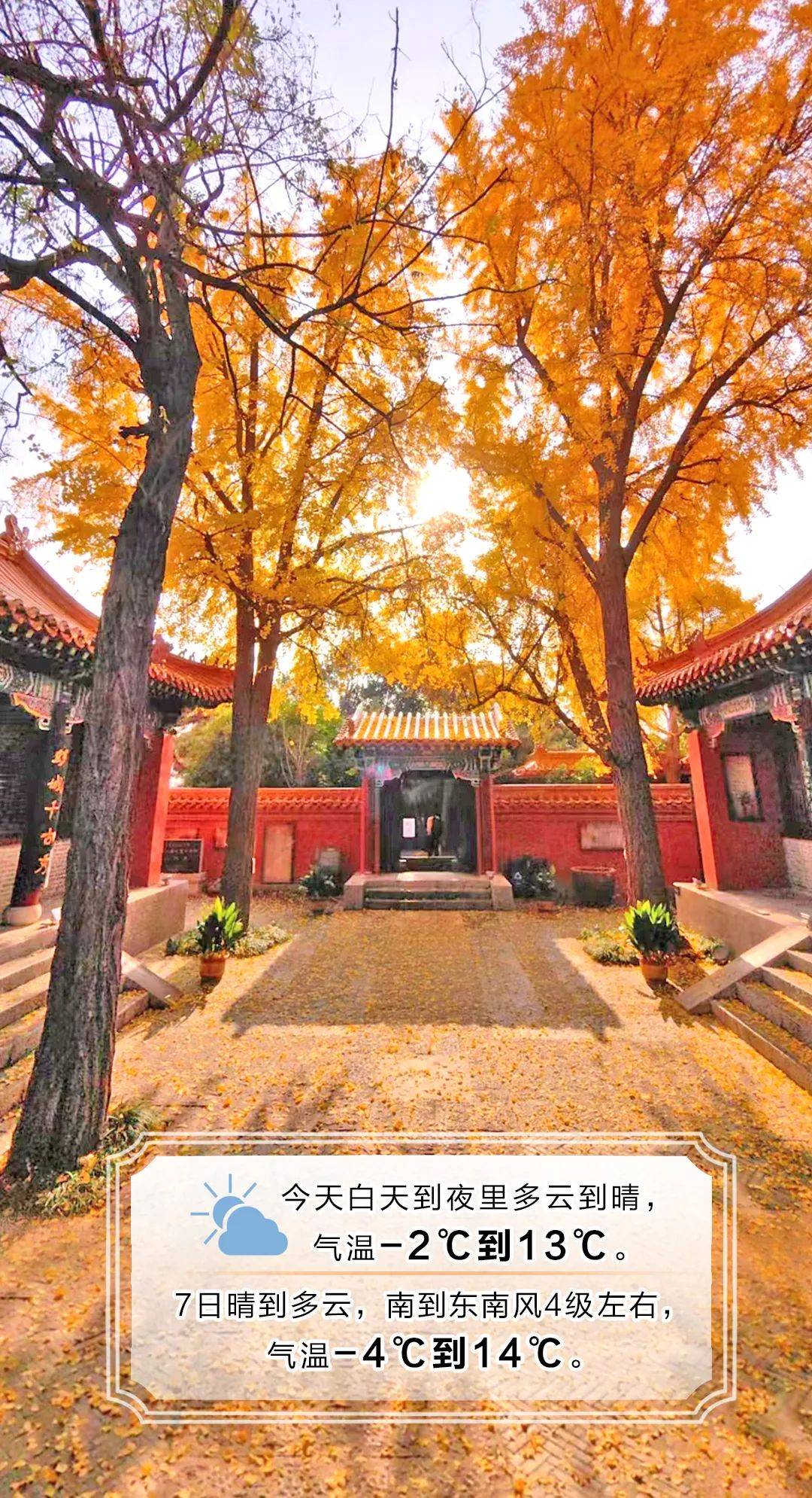 将有4次雨雪！徐州发布重要天气报告……_调整_预测_防护