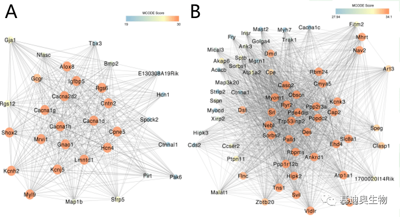 你会用WGCNA分析单细胞数据嘛？scWGCNA应用思路，干货满满_基因_模块_进行