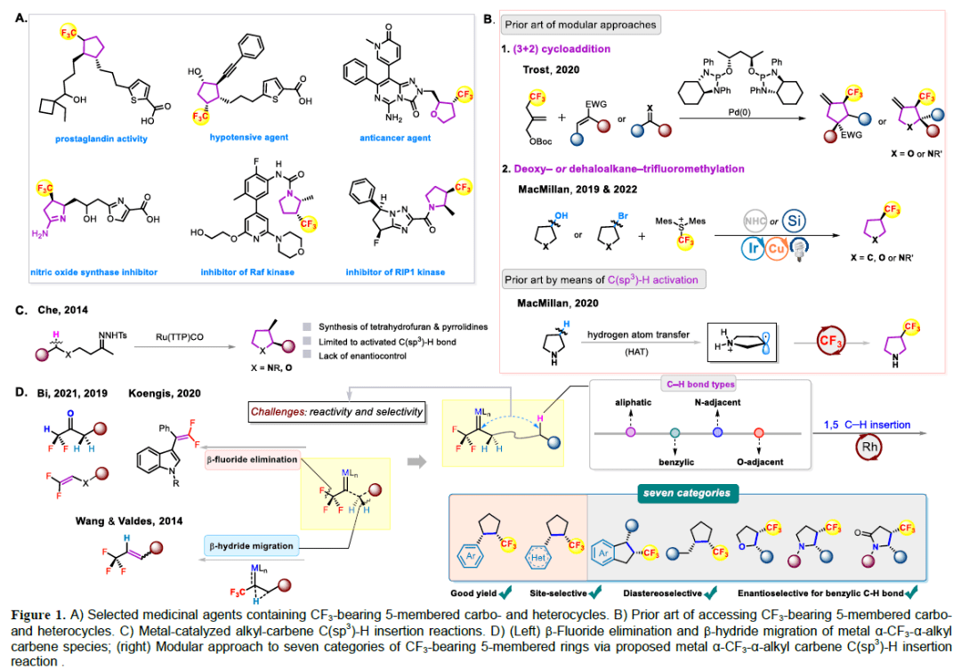 Angew：利用C(sp3)-H活化模块化构建CF3官能团化五元环化合物_合成_反应_烷基