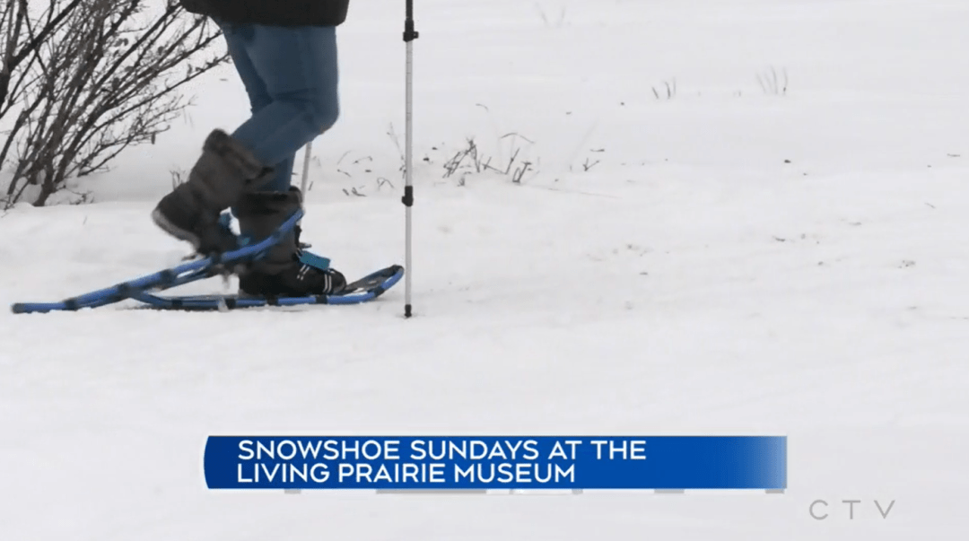 走起！温村举办"Snowshoe Sundays"活动！可免费租雪鞋！中驻加大使馆更新赴华要求！_检测_流感_报告