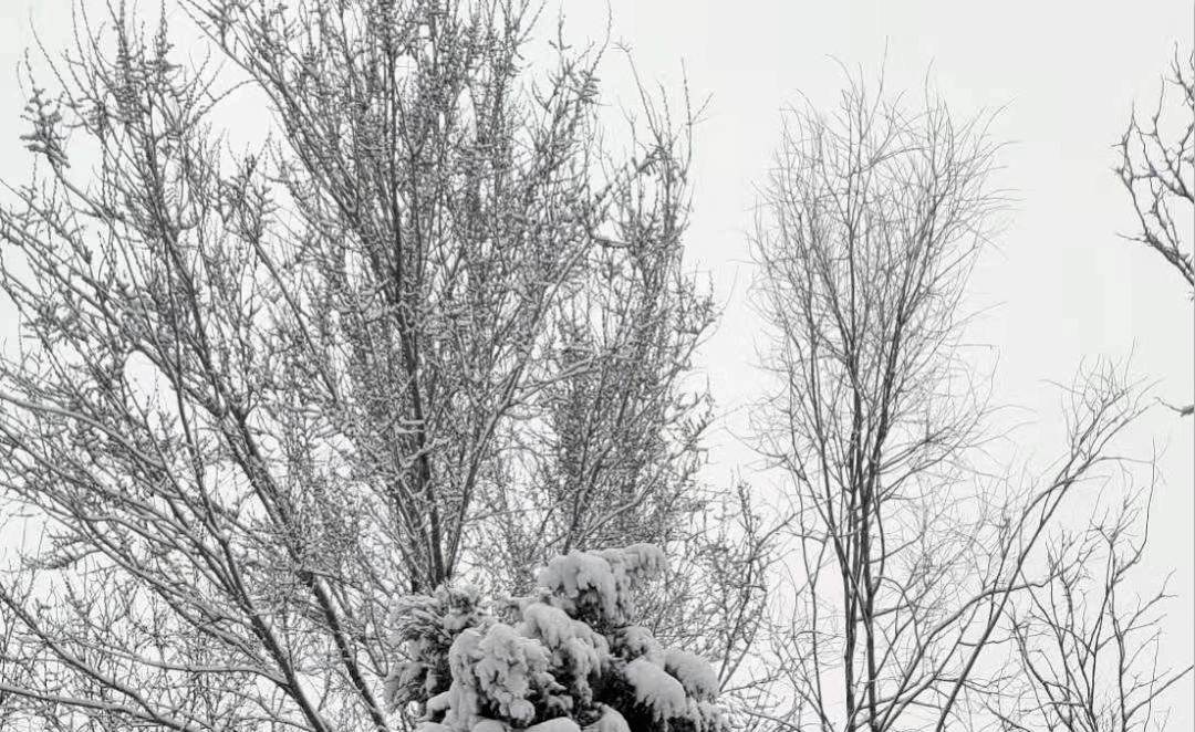 节气 今日大寒:霜雪染尽,静候春归!侵袭版权时间
