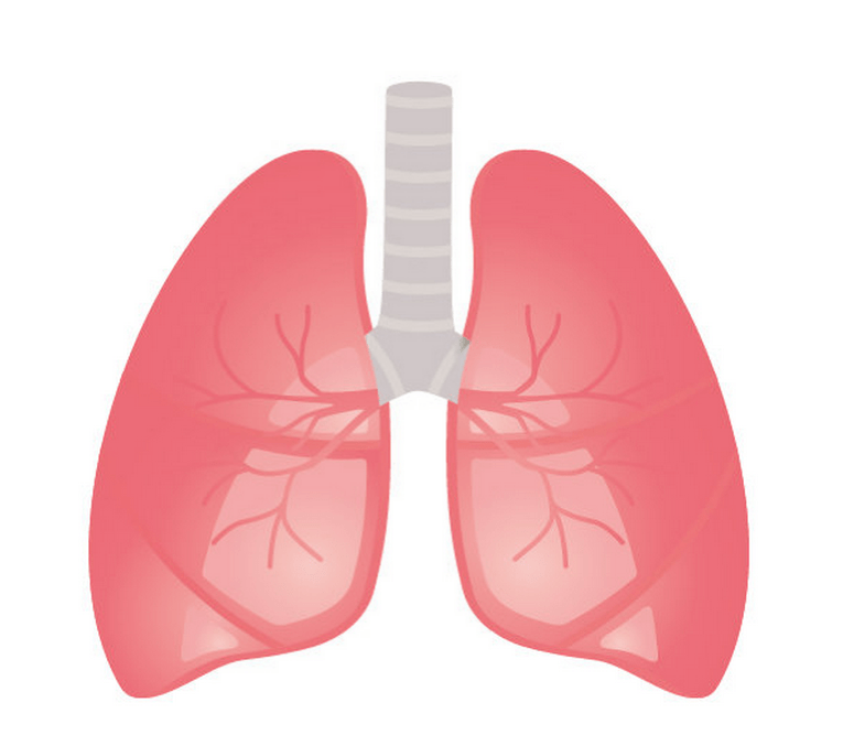 肺癌一查就是晚期？其实双腿早就给了暗示，只是很多人错过了……_症状_肺部_穴位