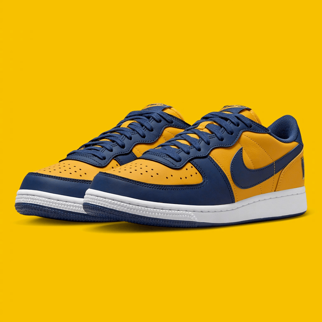 复古新潮流！Nike Terminator Low OG密歇根即将发售！_Dunk_预计今年_灵感