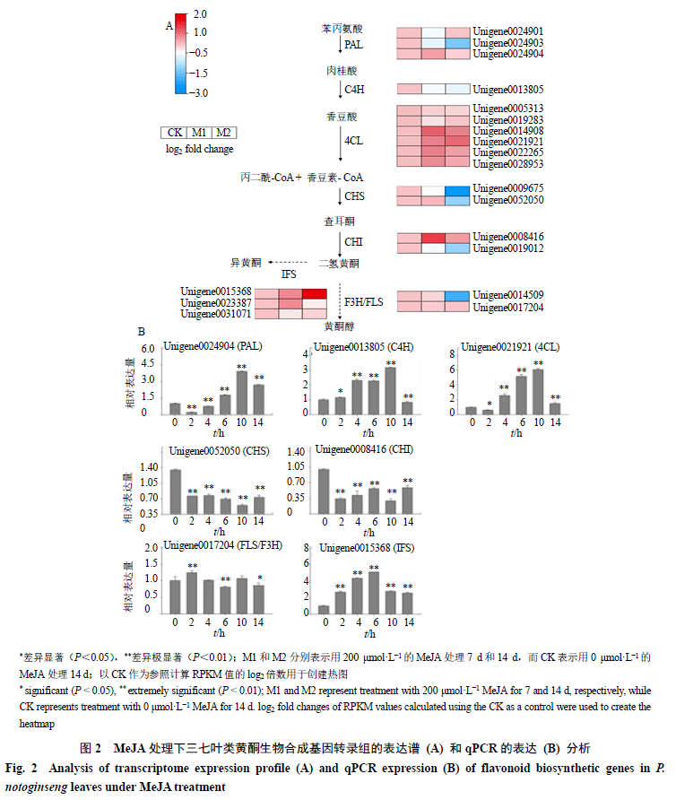 茉莉酸甲酯对三七叶总黄酮含量及其应答基因表达量的影响_研究_处理_批号