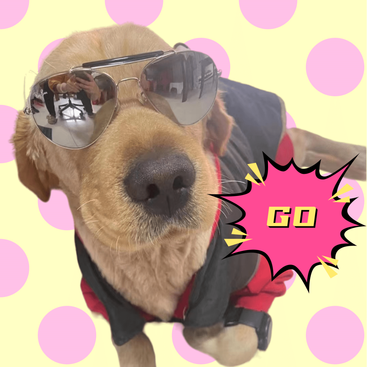 PGS1：17打破魔咒，勇夺冠军！Tianba完成季军大满贯，韦神真慕了_比赛_GenG_总决赛