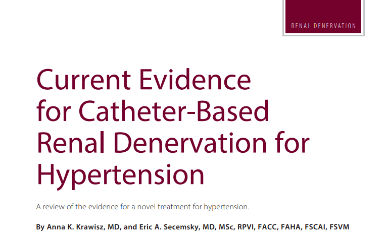 探索丨RDN疗法的现有循证证据_研究_患者_mmHg