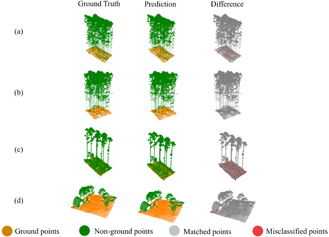 一起来看！北林大近期科研进展_研究_叶绿体_调控