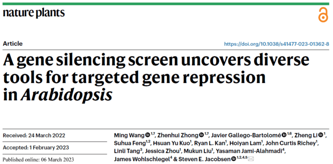 Nature Plants｜美国研究人员发现在拟南芥中诱导靶基因沉默的新工具_蛋白_融合_开花