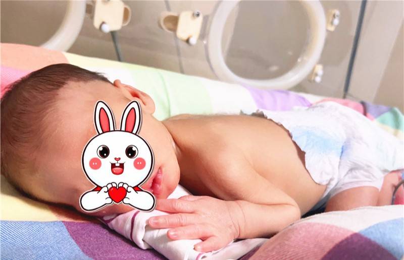 一波三折！出生仅1.9Kg的谷城“巴掌姑娘”挺过来了_给予_团队_父母