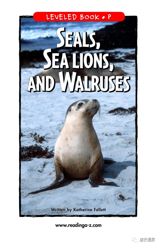 【RAZ-P-52】Seals, Sea Lions, and Walruses