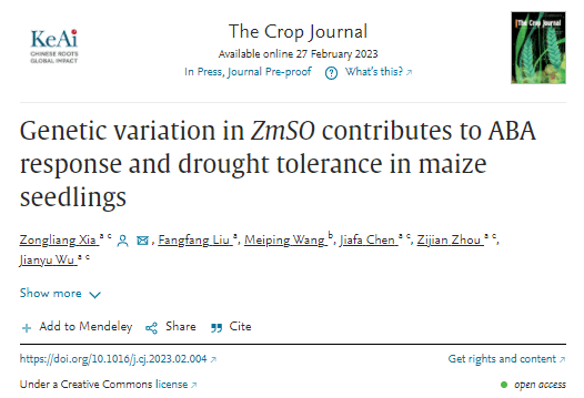 河南农业大学揭示ZmSO调控玉米响应脱落酸和干旱胁迫的遗传机制_研究_InDel_影响