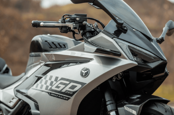 元图GP250动态测评：赛道基因下放，两万级最强双缸仿赛深度解析！_搜狐汽车_搜狐网