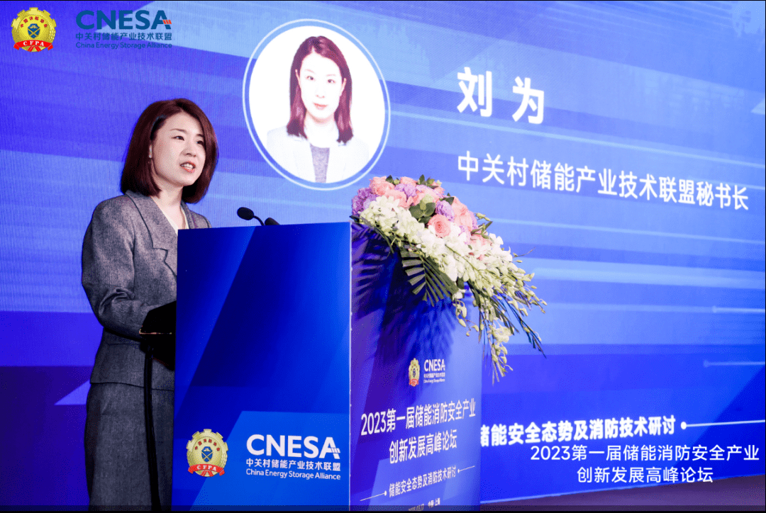 CNESA刘为：中国2022年新增储能项目装机超过去十年之和_发展_产业_技术