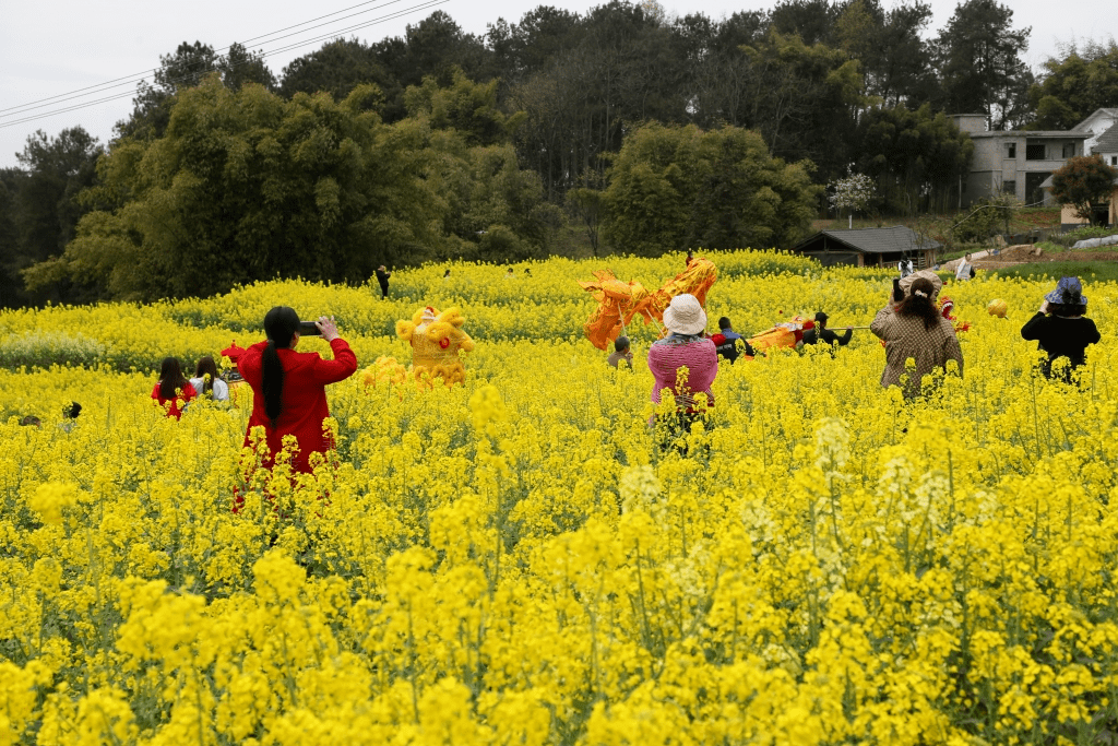 Chongqing people enjoy spring tours_Tourism_The_kinds