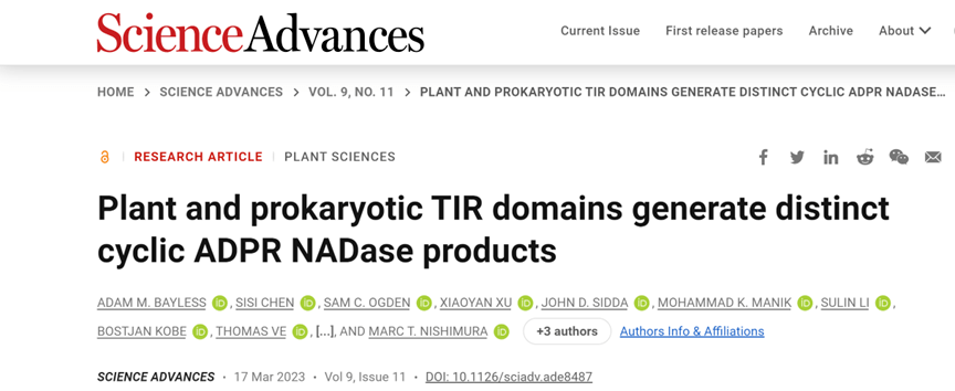 Science Advances | 科罗拉多州立大学/分子植物卓越中心共同揭示微生物和植物免疫通路交叉相互激活机制_Thoeris_蛋白