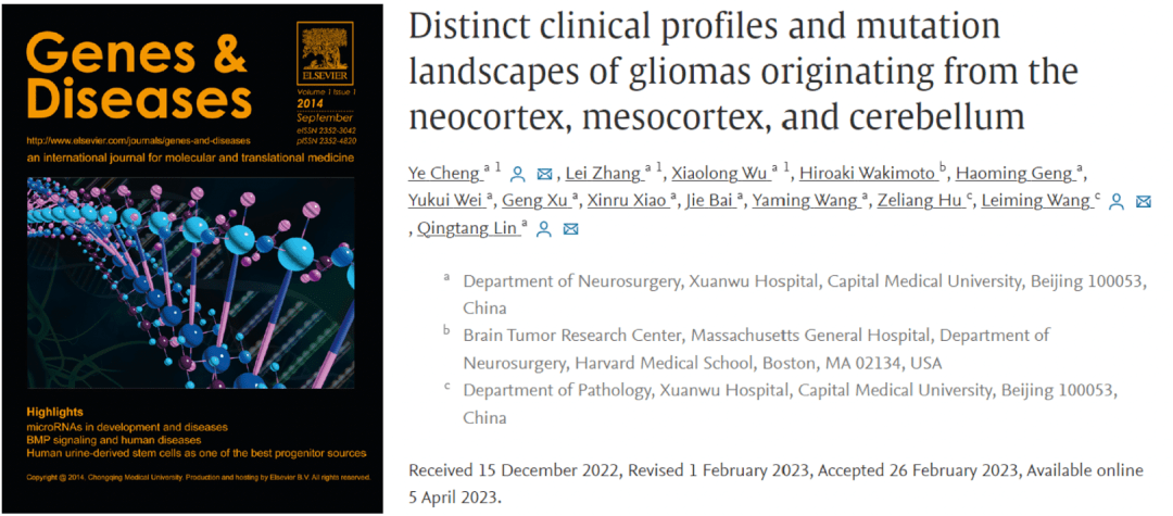 论文发表｜基于宣武神外胶质瘤数据库：皮层发育来源异质性脑胶质瘤独特临床特征及突变图谱分析发表在Genes & Diseases_研究_北京市