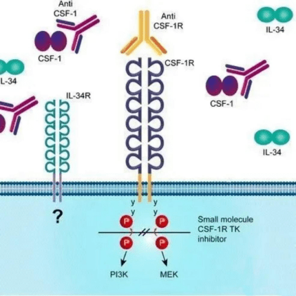 【PRO观点】AACR重磅研究一览（第三期）_临床_医药_报告