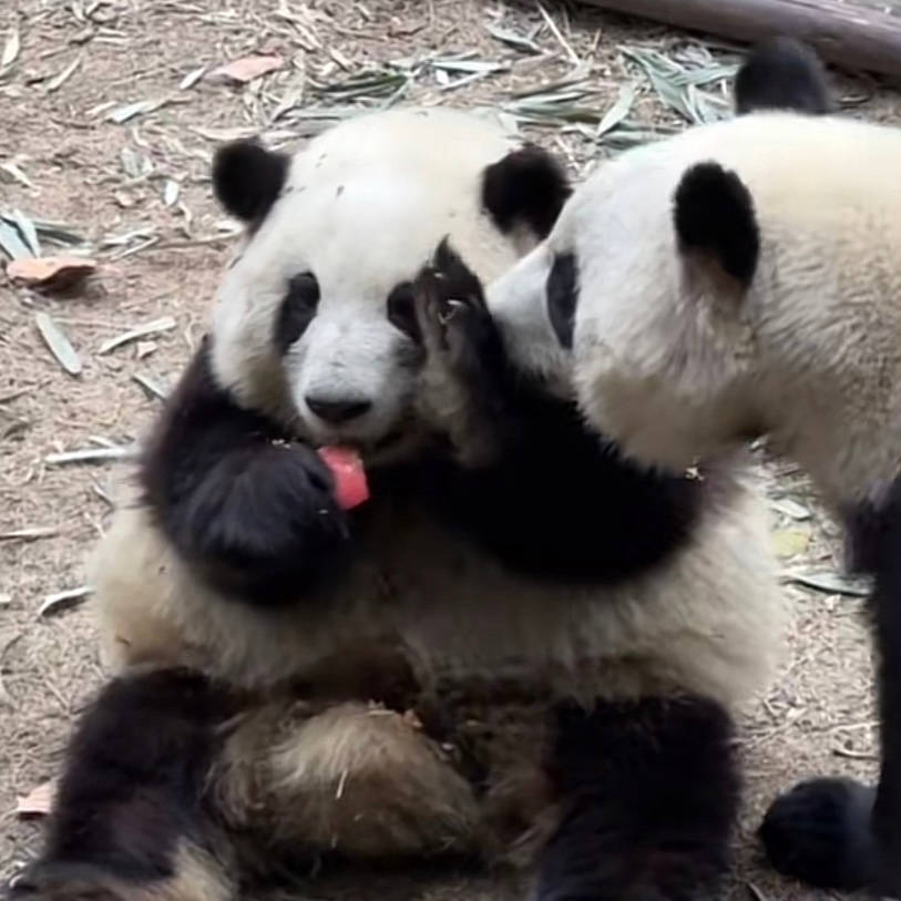 人员感知雷达WTR-812开箱测评：人数统计更准确，适用场景更私密！_区域_测试_目标