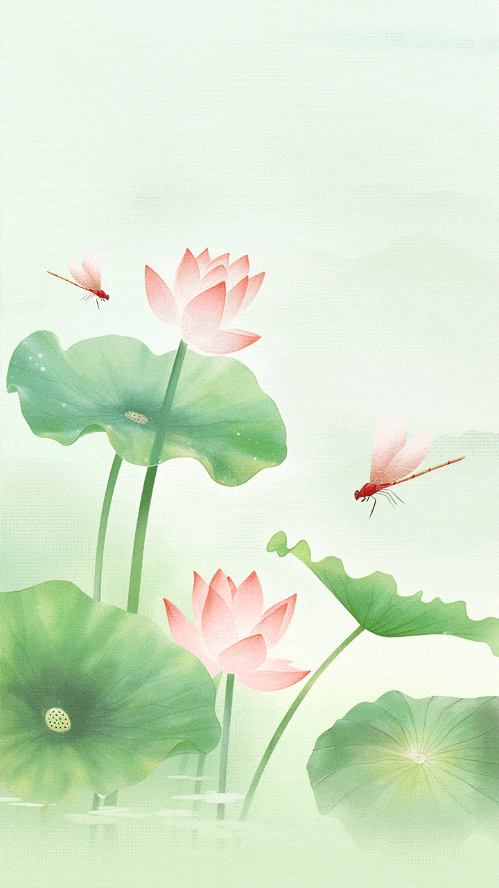 嘀~快来接收SNUT的夏日来信！_夏天_教育_地面