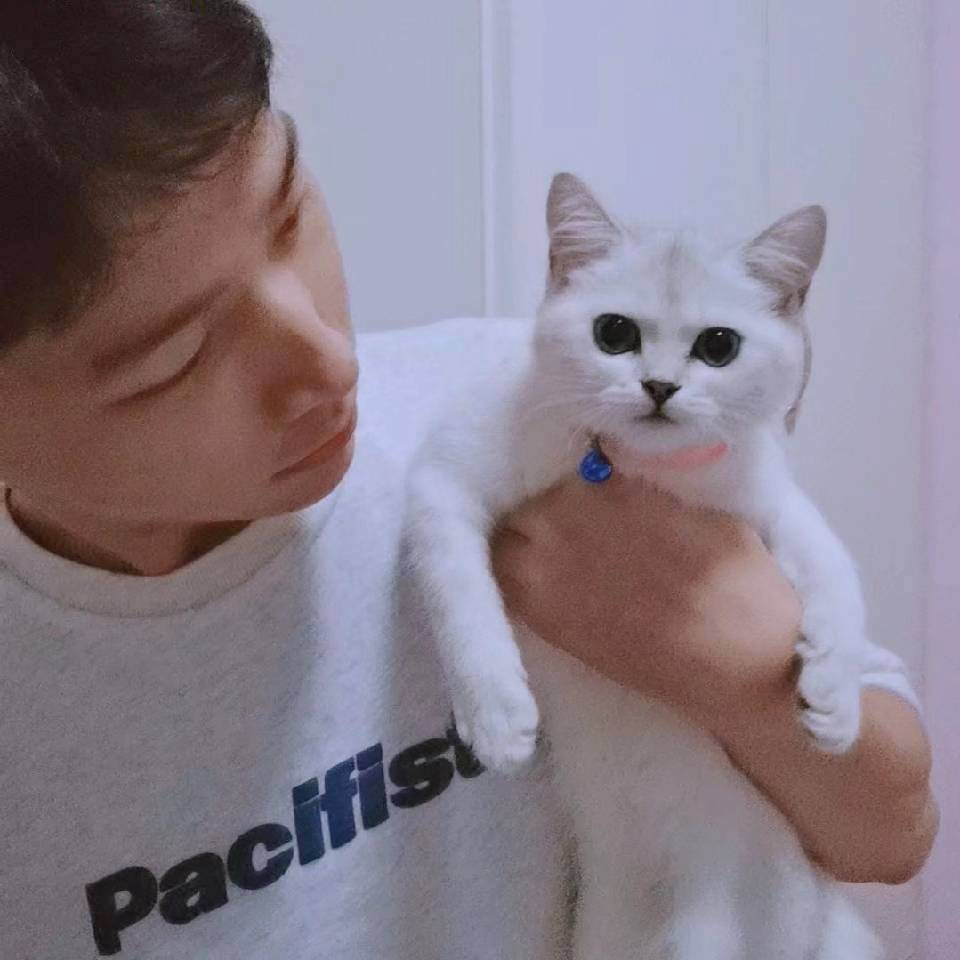 Amazon DI (Direct Import) 是什么？_亚马逊_货物_协议