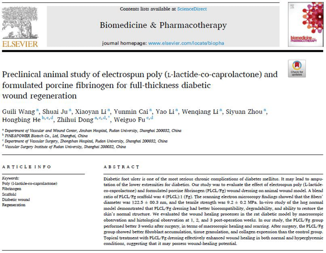 创三甲专栏｜金医科研：董智慧教授团队发现新型PLCL/Fg敷料对于糖尿病皮肤全层创面再生具有显著的疗效_伤口_研究