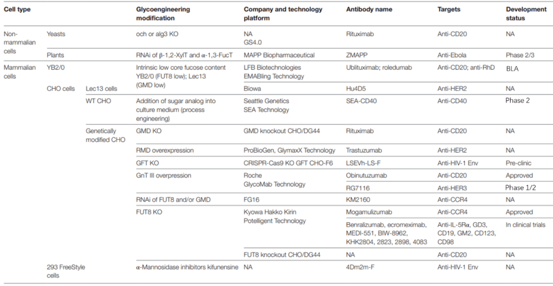 增强ADCC/ADCP效应的三种技术策略_抗体_细胞_研究