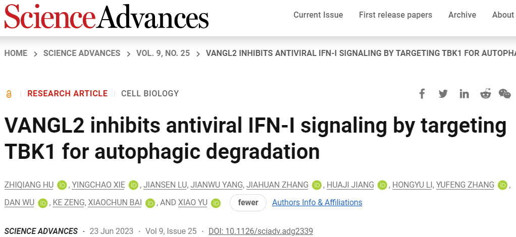 Science Advances | 南方医科大学余潇团队发现VANGL2抑制抗病毒IFN-I信号传导_诱导_先天_研究