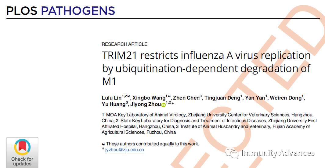 PLOS PATHOG | 浙江大学周继勇课题组揭示TRIM21通过泛素化依赖性降解M1限制甲型流感病毒复制_蛋白_病毒科_细胞