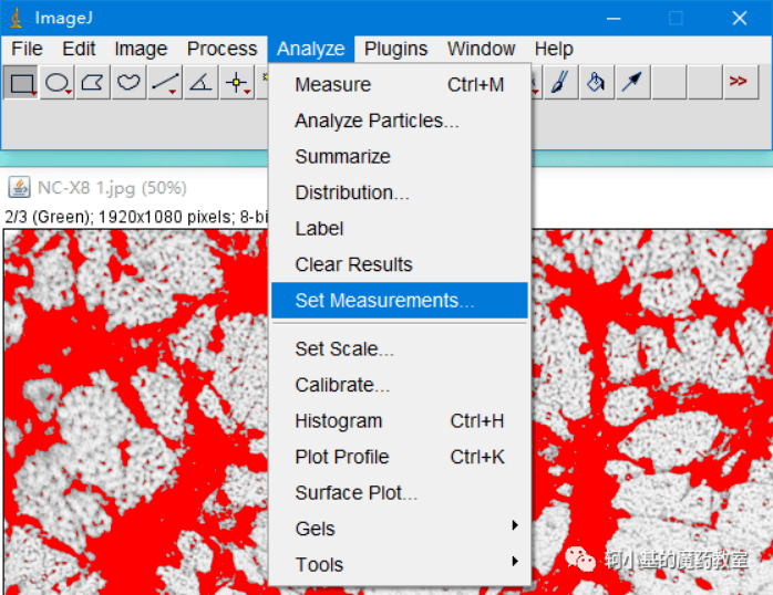 如何使用ImageJ分析染色面积？_实验_按钮_调节