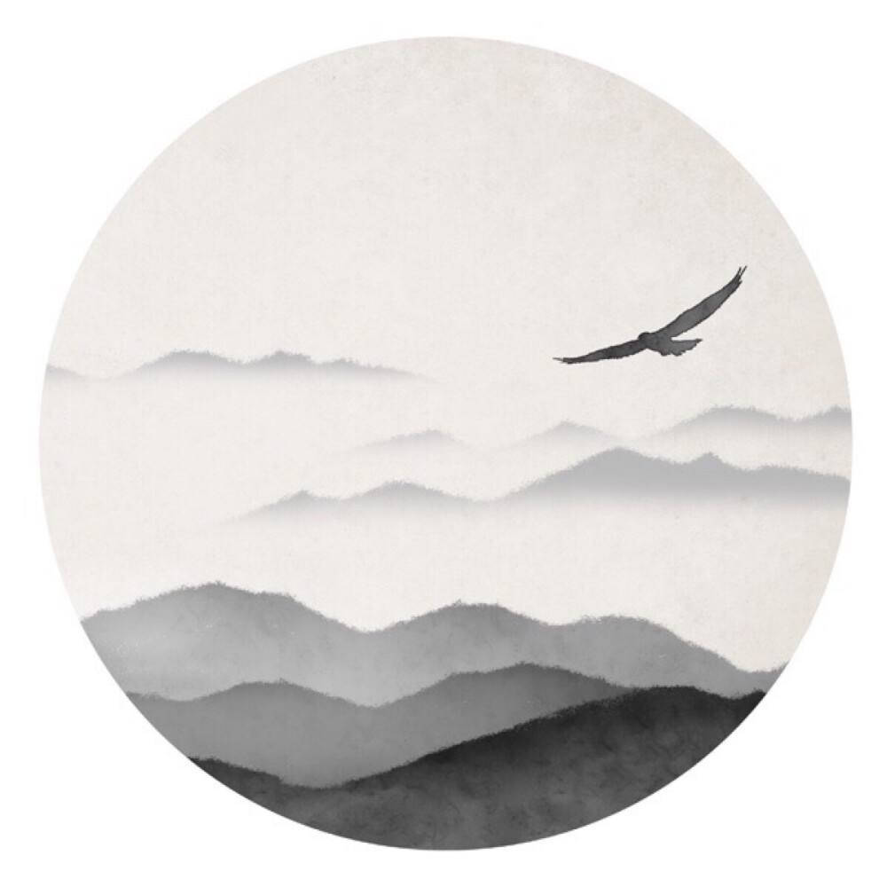 【Nature Protocols】：从人类多能干细胞中生成心脏类器官（上）_进行_实验_分析