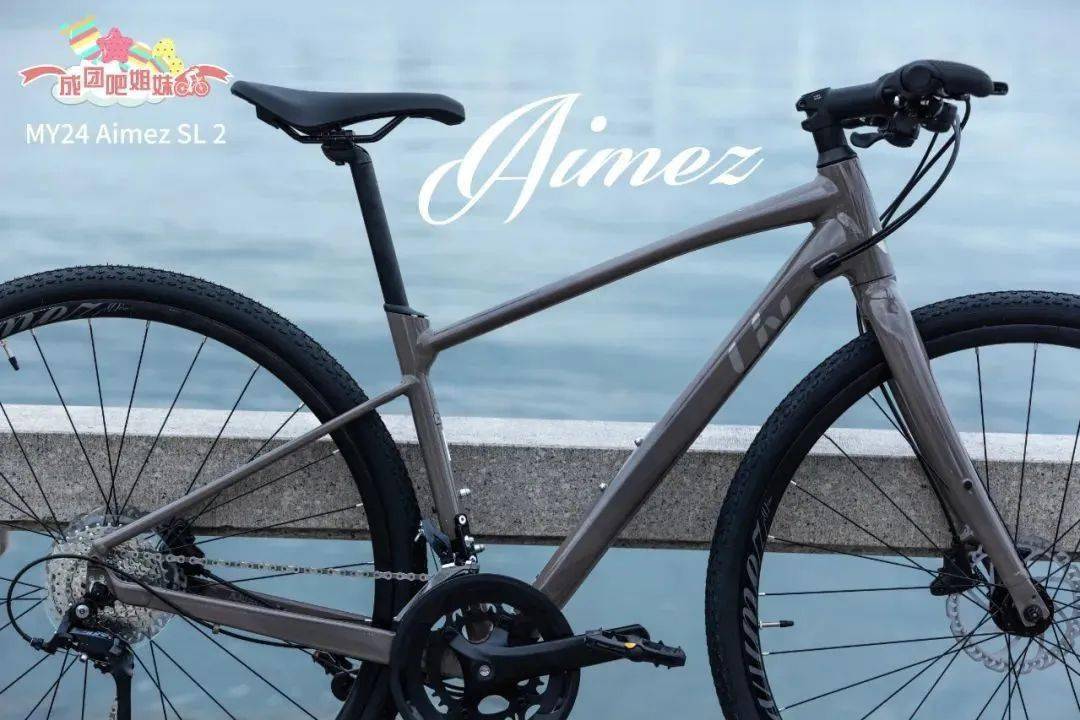 让爱美姿上分 Liv AIMEZ SL 2平把公路车_搜狐汽车_搜狐网